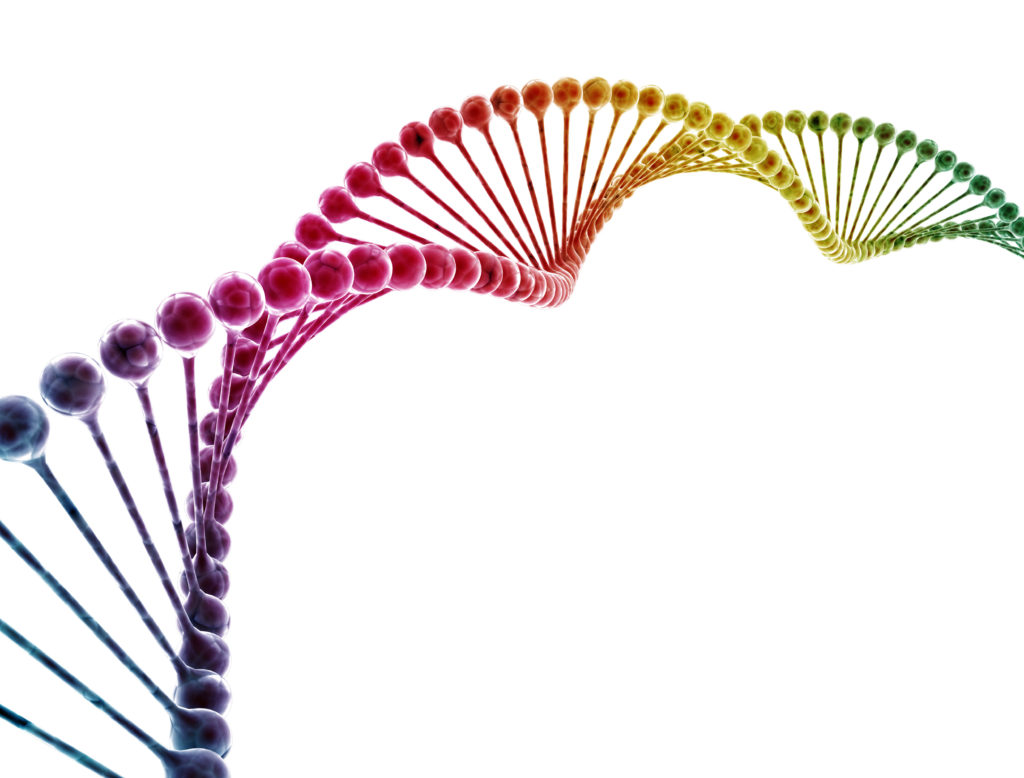 Genomelink Review: Ancestry, Personality, and your DNA - SelfDecode ...