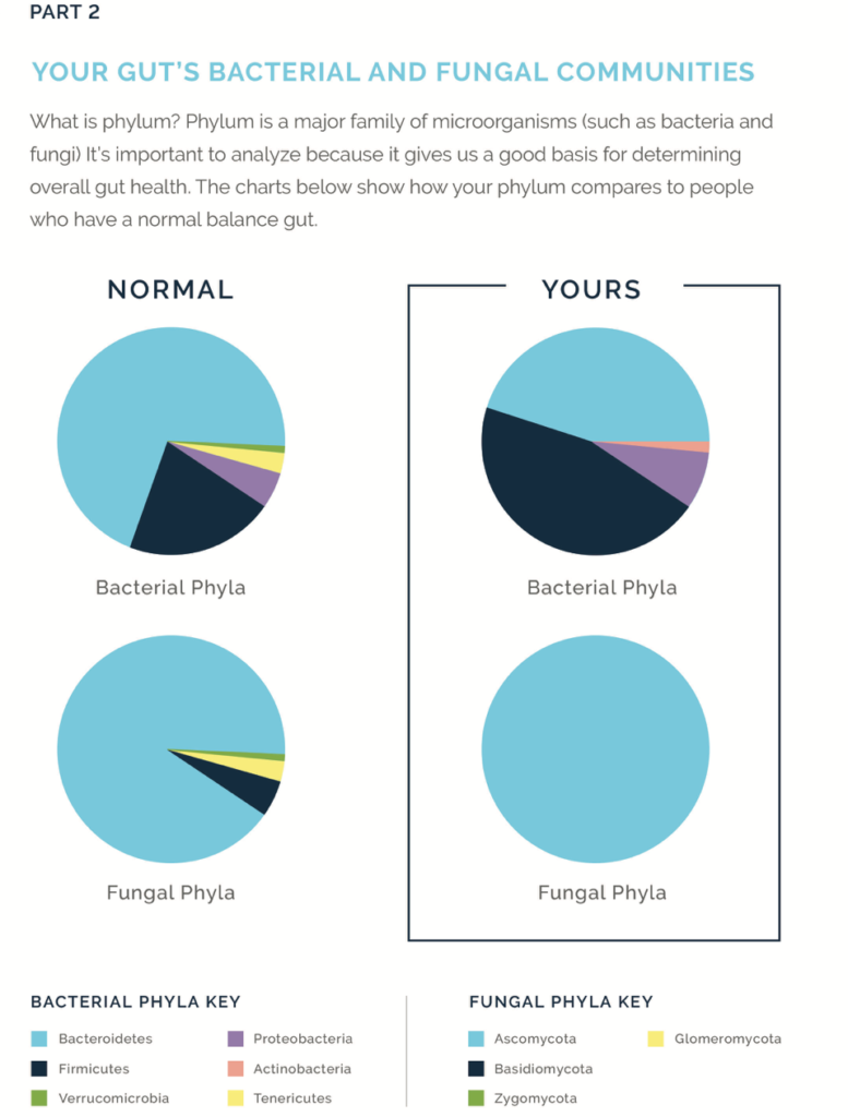 BIOHM Review: What Does Your Gut Say About You? - SelfDecode Resources ...
