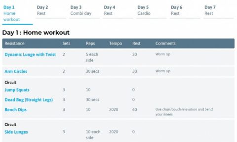 FitnessGenes Review: Can Your DNA Improve Your Workouts? - SelfDecode ...