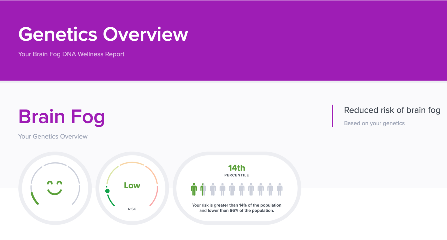 Brain Fog Causes: What You Need To Know - SelfDecode Resources [OCTOBER ...