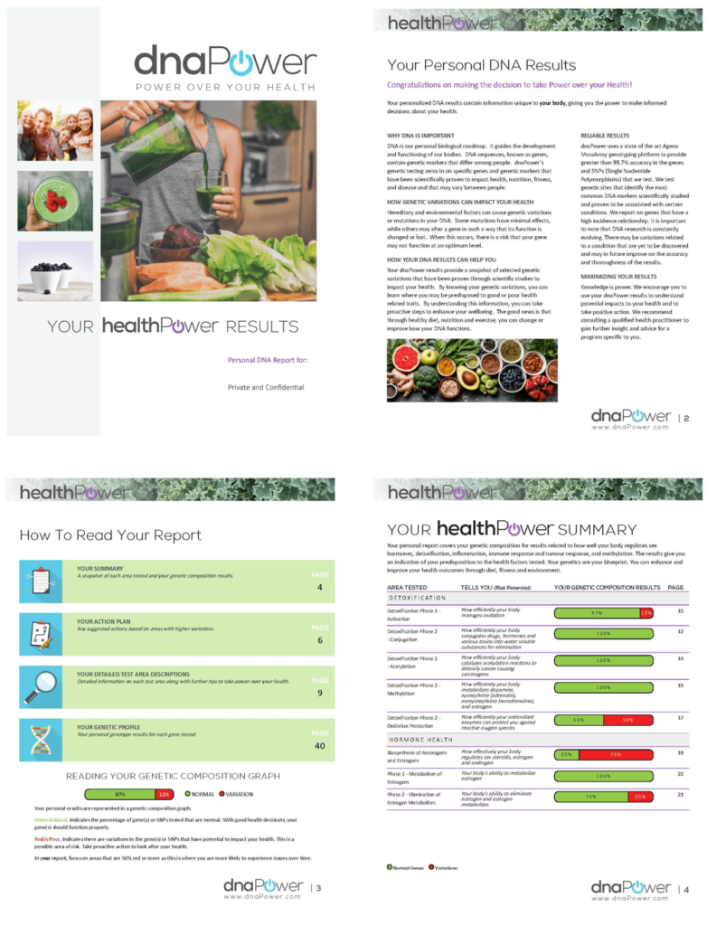 dnaPower Review: Can These DNA Tests Improve Your Health? - SelfDecode ...