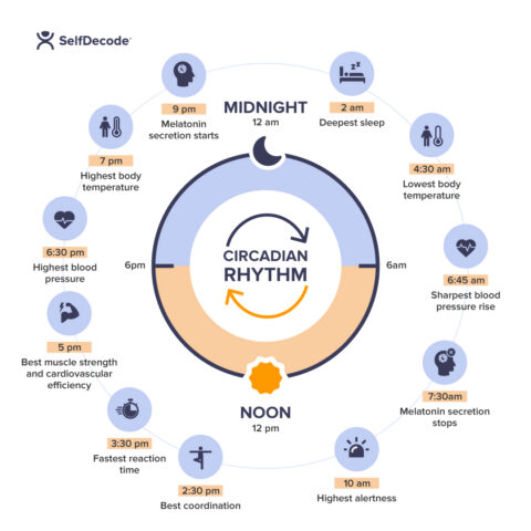 Is Insomnia Genetic? How Your Genes Can Help You Sleep Better ...