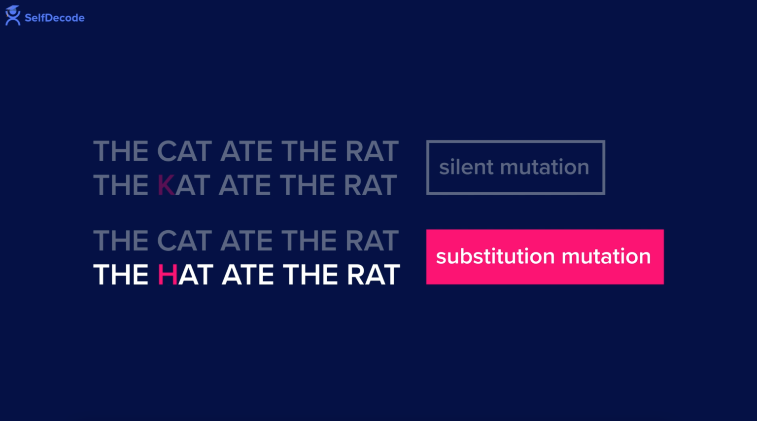 What Is A Genetic Mutation? - SelfDecode Resources